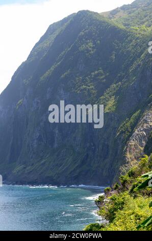 steep sea cliffs in the Fajãs de São Jorge Biosphere Reserve, Sao Jorge ...