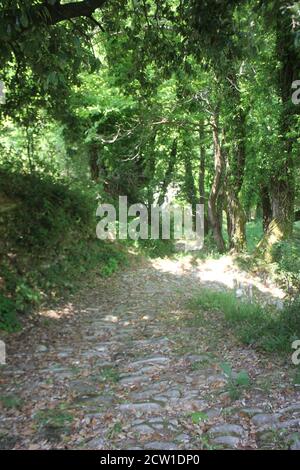 Pinakates Village in Mount Pelio , Greece Stock Photo - Alamy