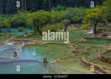 The colorful pools in Huanglong Valley, in Sichuan province, China ...