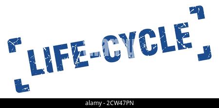 life-cycle stamp. life-cycle square grunge black sign Stock Vector ...