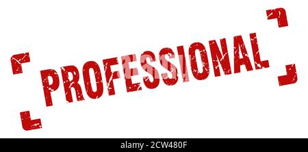 professional stamp. square grunge sign on white background Stock Vector ...
