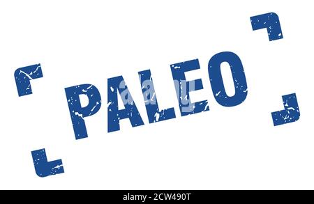 paleo stamp. square grunge sign isolated on white background Stock Vector Image & Art - Alamy