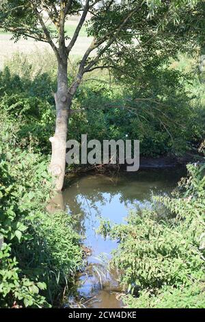 Thürer Wiesen in autumn Stock Photo - Alamy