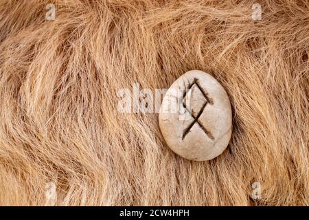 Othila or Othial Nordic stone rune isolated on white background. Letter ...