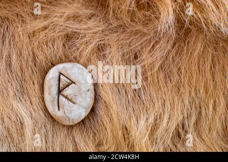 Raido or Raidho Nordic stone rune on fur. Letter Raed of the Viking ...