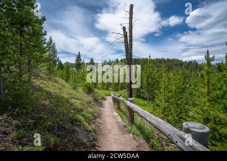 Wraith Falls in Yellowstone National Park, Wyoming Stock Photo - Alamy