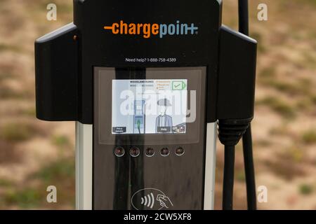 Charge Point CT4021 EV Charge Station – Dual Port Bollard Mount in ...