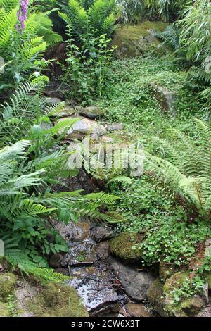 In a garden in Venansault (France Stock Photo - Alamy
