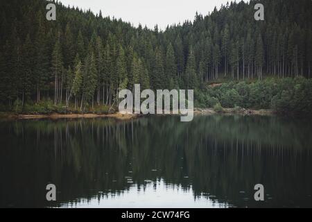 A symmetric landscape of a lake with green trees at the shore and ...