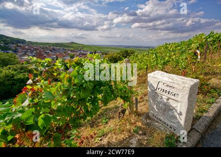 The village of Verzenay and its lighthouse in the French Champagne ...