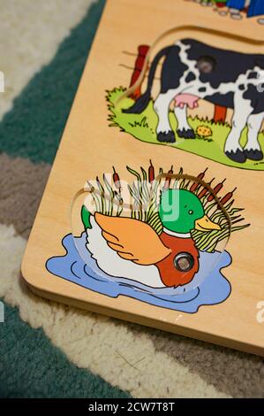 POZNAN, POLAND - Oct 30, 2015: A vertical shot of a colorful child book ...