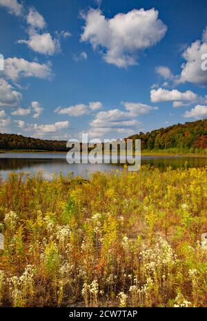 Lower Woods Pond is a 50-acre natural lake in northern Wayne County ...