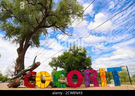 Monumental letters of colors and sculptures of giant iguanas at the ...
