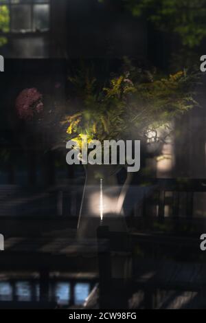 A bouquet of wildflowers inside a home, as seen through a window Stock ...