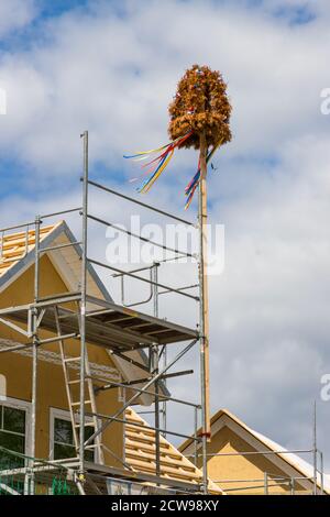 construction worker at topping out or roofing ceremony, when finishing ...