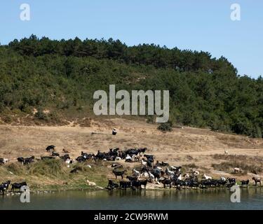A view of the Canal Istanbul Project. Canal Istanbul Project is a 45 km ...