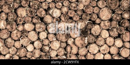 Round teak wood stump. Round teak woods trees circle stumps cutted ...