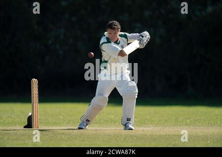 Cricket batsman playing a square cut shot Stock Photo - Alamy