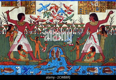 papyrus plants by the river Nile Egypt Stock Photo - Alamy