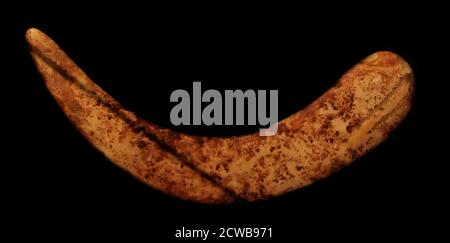 Magical wand of protection carved from ivory dating from the New ...