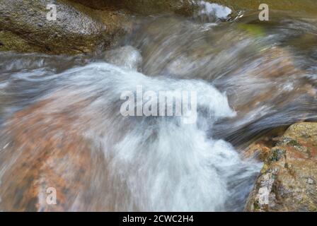 water run through river pass rock and stone in forest Stock Photo - Alamy