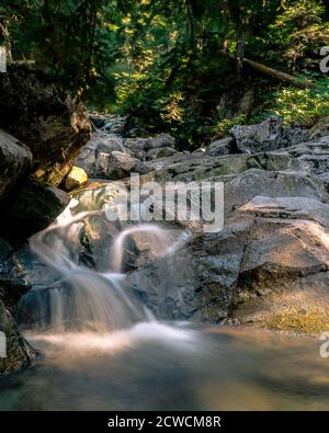 A vertical shot of a small waterfall in Aroser Weisshorn mountains ...