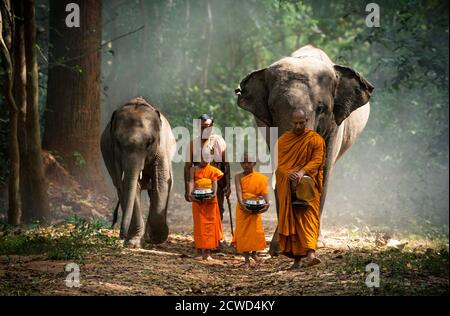 Zen buddhist monks walking in Orval, Belgium Stock Photo - Alamy