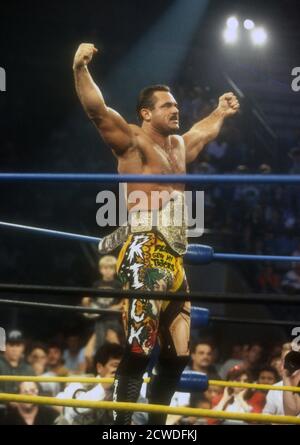 Rick Rude, 1993 Photo By John Barrett/PHOTOlink Stock Photo - Alamy