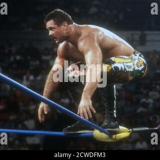 Rick Rude, 1993 Photo By John Barrett/PHOTOlink Stock Photo - Alamy