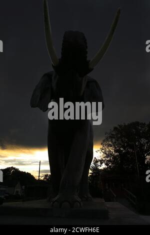 *PT Barnum's Greatest Show on Earth* was a world-renowned circus ...