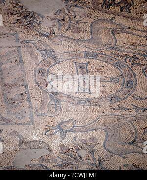 Libya, Qasr Libya. Byzantine Mosaic from the mid-6th Century A.D ...