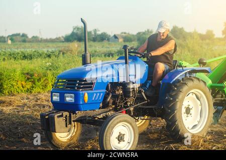 The process of digging potatoes out of the ground. Harvesting campaign ...