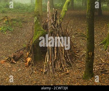 A bivouac survival shelter in the woods made from sticks and branches ...