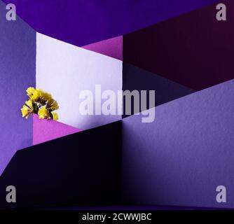 Asymmetric, abstract geometric background with a plant Stock Photo - Alamy