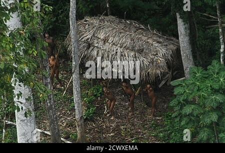 A plane flying over the Amazon rainforest looking down on a meandering ...