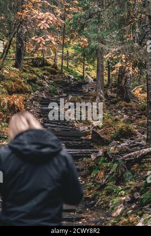 Wooden stairs with leaves in the autumn forest Stock Photo - Alamy