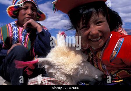 Quechua children in distinctive tribal costume and alpaca Near Chivay ...