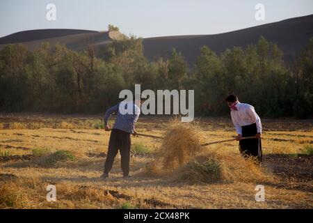 Agriculture in Iran. Mesr village, Isfahan province, Iran Stock Photo ...
