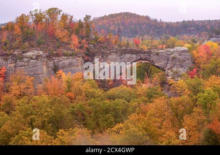 Natural Arch Daniel Boone National Forest Whitley City Kentucky USA ...