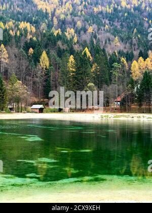 Scenic autumn forest at Crystal Lake in the Julian Alps, Slovenia Stock ...