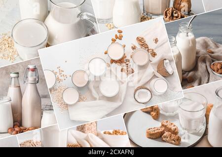Collage with photos of lactose free dairy products on white background ...