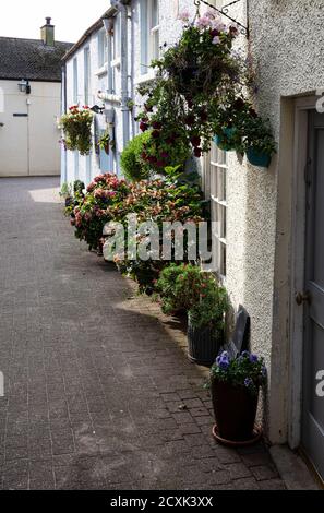 Terraced houses in Tenby side street Stock Photo - Alamy