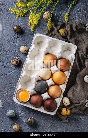 Dark concrete background with colorful flowers on it with copy space ...