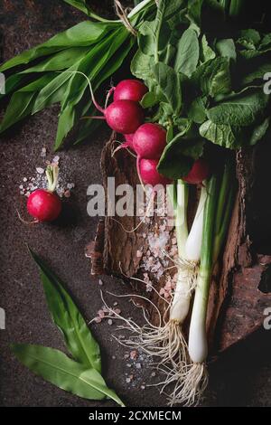 Fresh young garlic on dark background. Close up one garlic on dark ...