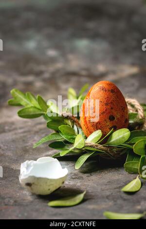 quail egg in a nest of green moss on a light background Stock Photo - Alamy
