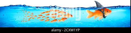 Business - Leadership And Teamwork Concept - Goldfish With Fin Shark ...