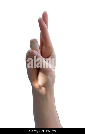 a gesturing good luck symbol fingers crossed human hand on white ...