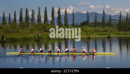 Mens Eight, British Olympic Rowing Team Left - Right, (Front Row) Ben ...