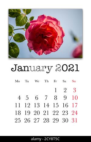 Calendar card for the month of January 2021 Stock Photo - Alamy