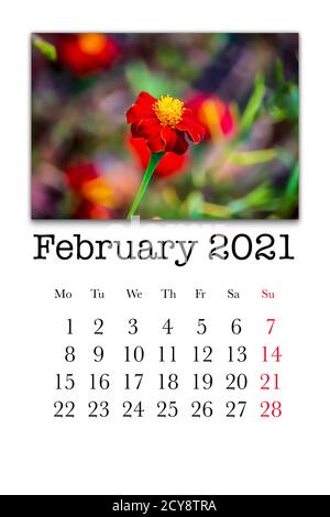 Calendar card for the month of February 2021 Stock Photo - Alamy